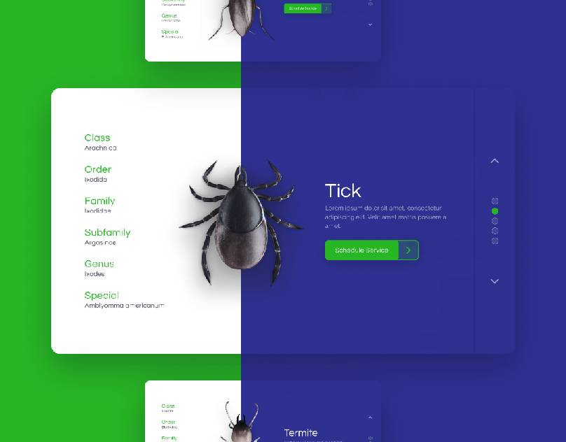 Turin Pest Control | Corporate