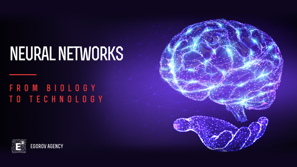 Neural Networks: from Biology to Technology